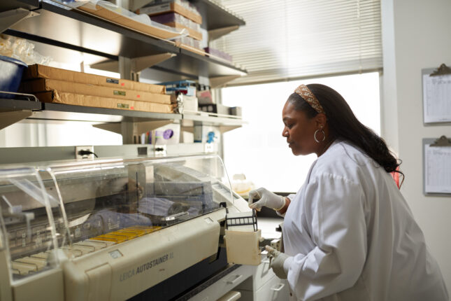 Homepage | Pathology & Immunology | Washington University in St. Louis