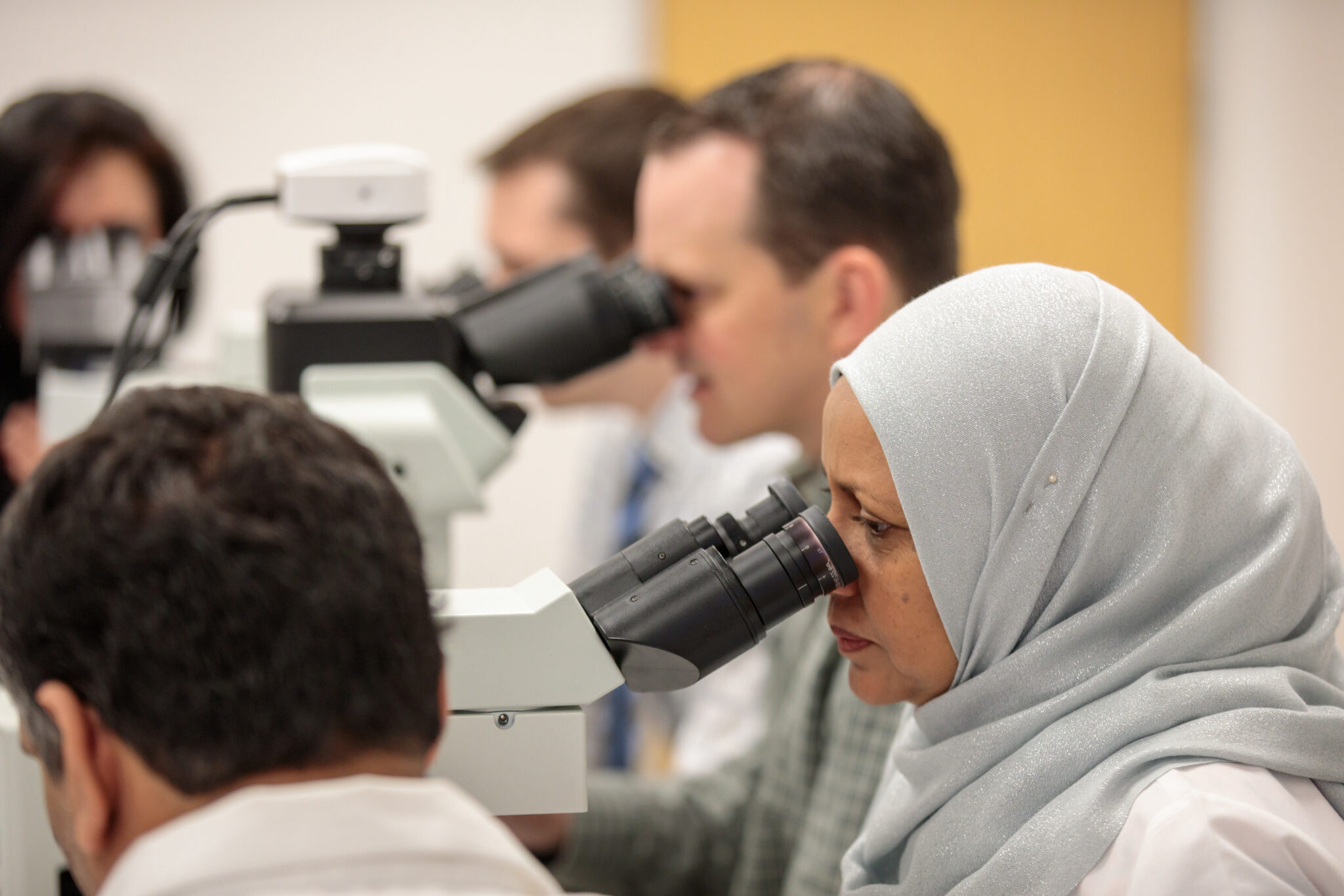 Education | Pathology & Immunology | Washington University in St. Louis