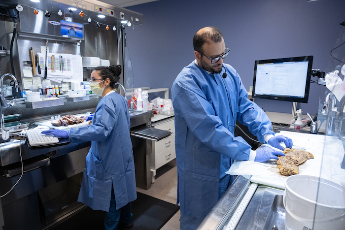 Surgical Pathology Fellowship | Pathology & Immunology | Washington University in St. Louis